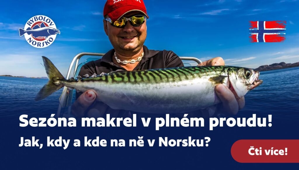 Sezóna makrel v plném proudu – jak, kdy a kde na ně v Norsku | Rybolov ...